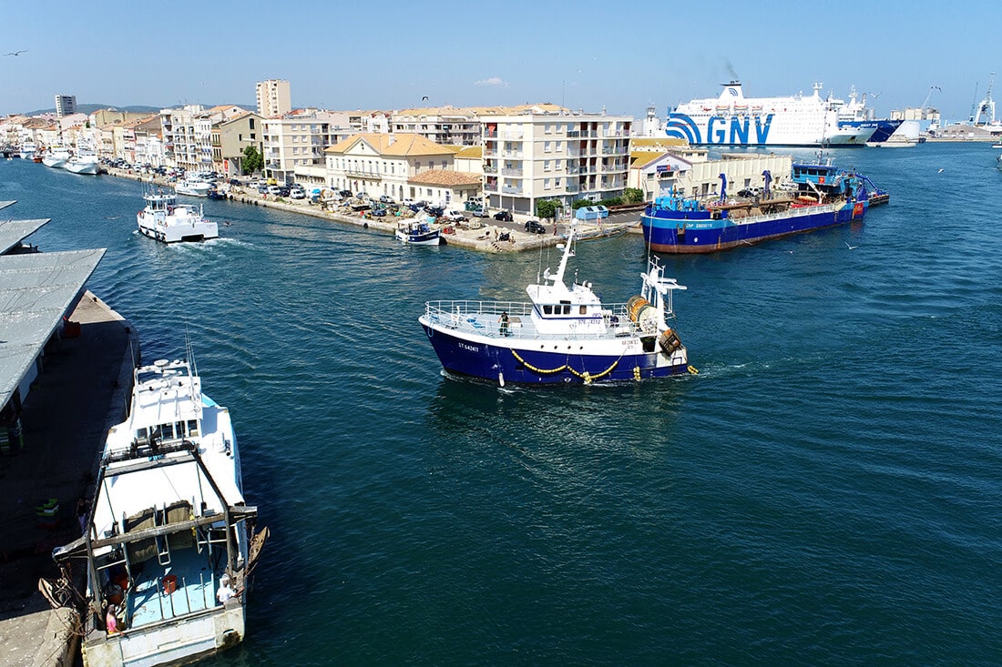 Le Port de Pêche de Sète